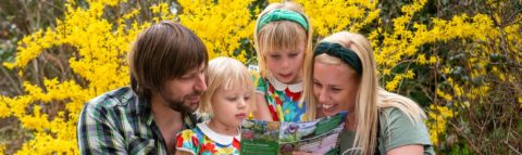 Plan your visit - Furzey Gardens